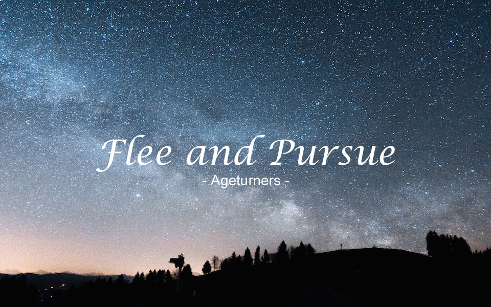 Flee and Pursue - AgeTurners